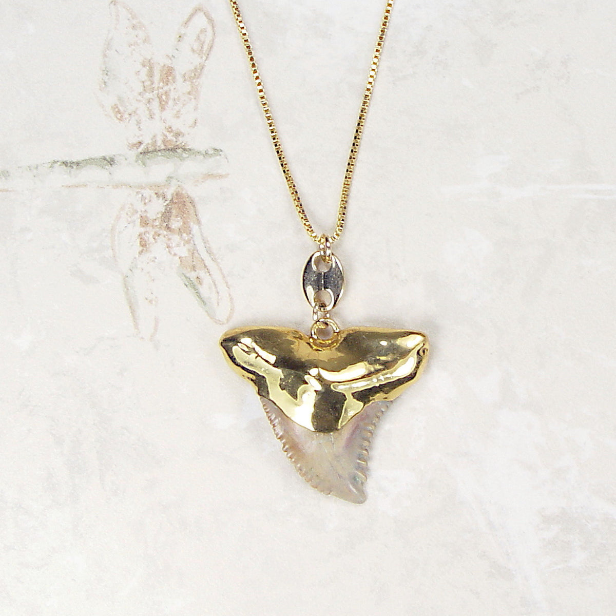 Fossil Shark Tooth Necklace with Gold Accent & 18k Electroformed Gold ...