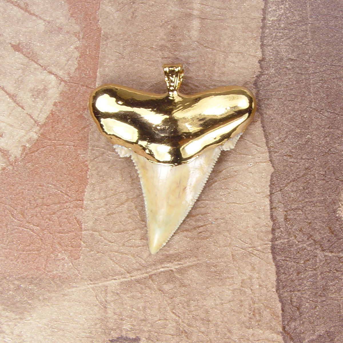 Angustiden Shark Tooth Fossil Pendant | 18kt Gold Electroformed Trim ...