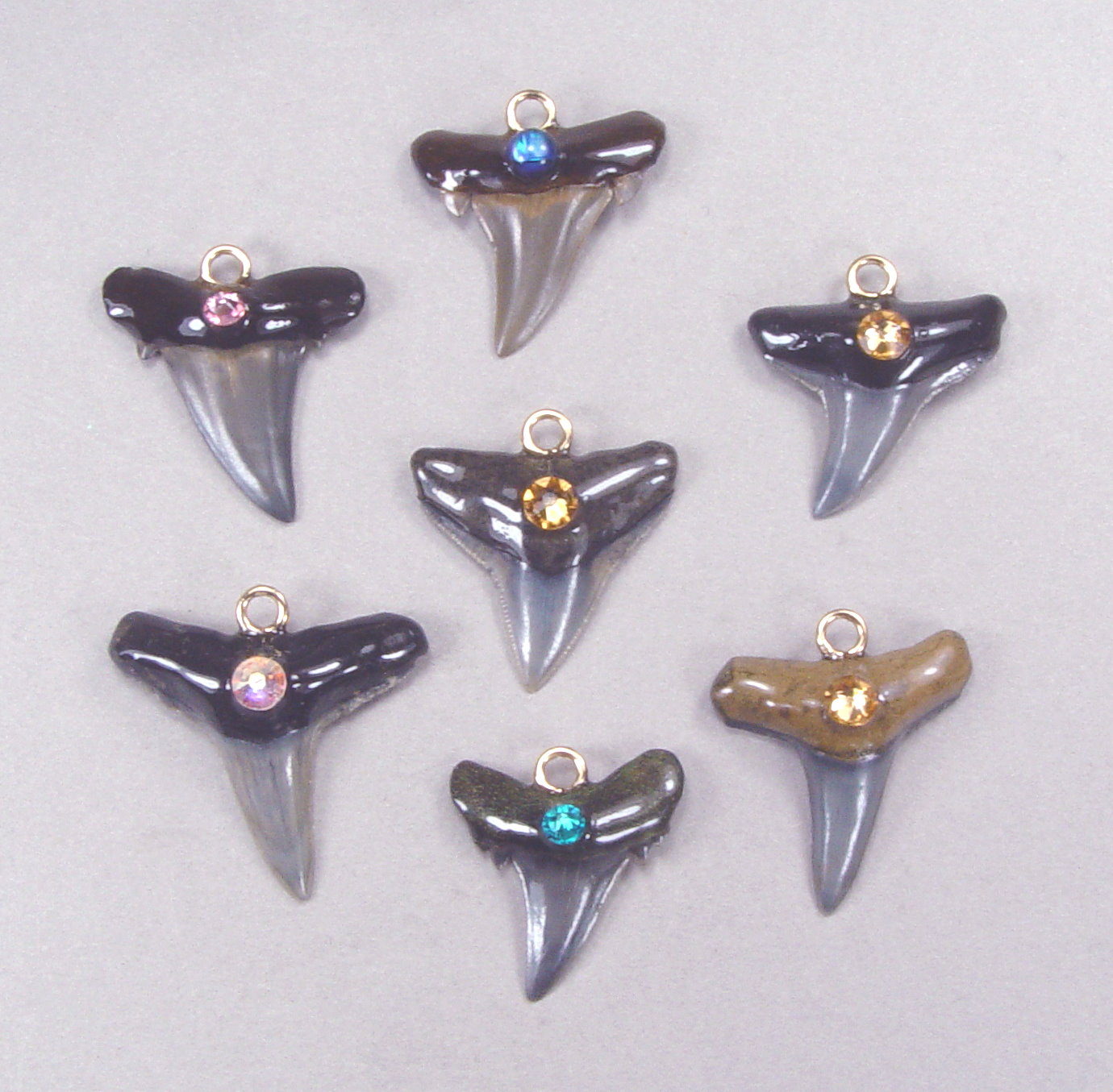 Quantity Discount: Fossil Shark Tooth Pendants with Resin Roots and Fa ...